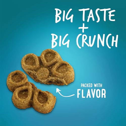 Fruitables Biggies Dog Biscuits – Crunchy Dog Biscuits Made with Pumpkin – Healthy Dog Treats Packed with Real Fruit Flavor – Free of Wheat, Corn and Soy – Almond Butter & Coconut – 16 oz