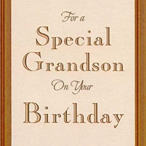 Designer Greetings for a Special Grandson: Light Brown Panels Birthday Card