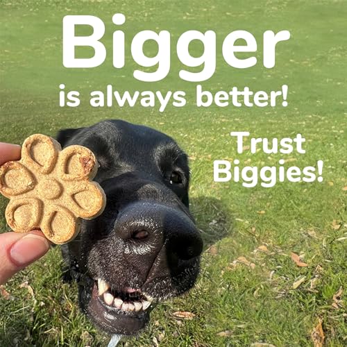 Fruitables Biggies Dog Biscuits – Crunchy Dog Biscuits Made with Pumpkin – Healthy Dog Treats Packed with Real Fruit Flavor – Free of Wheat, Corn and Soy – Almond Butter & Coconut – 16 oz