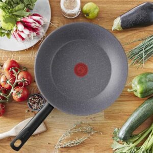 Tefal Natural On Induction G2801902 28 cm Non-Stick Wok Pan, Exclusive, Lavinia Grey