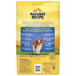 Nature′s Recipe Small Bites Chicken, Barley & Brown Rice Recipe Dry Dog Food, 4 lb. Bag