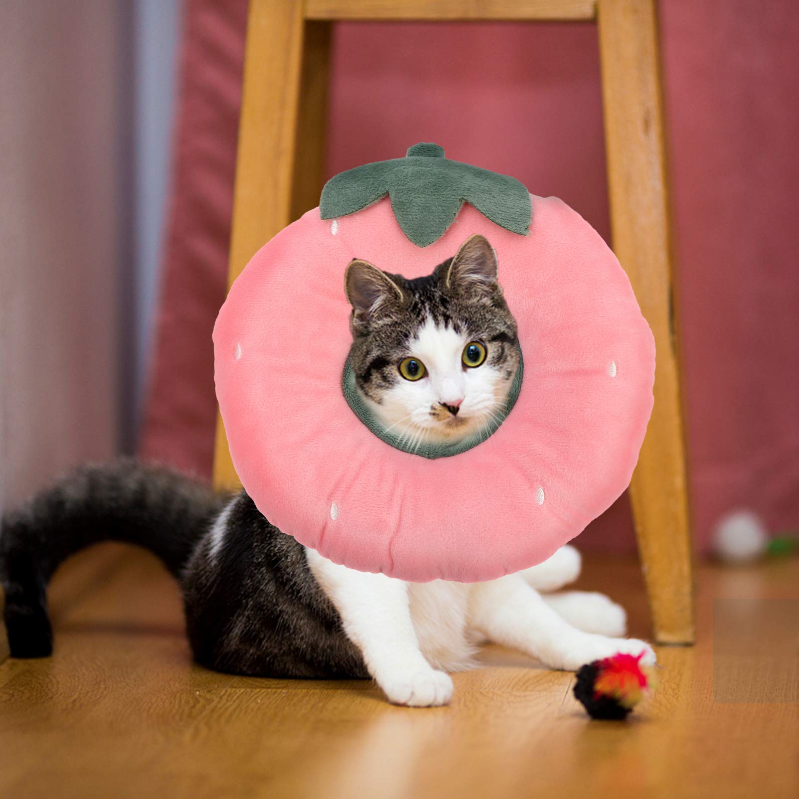 balacoo Small Cat Dog Recovery Collar Cute Strawberry Neck Cone Surgery Protective Collar Wound Healing Neck Cone Collars Size S