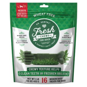 dr. dental medium fresh chews dental dog treats, clear, 16 oz