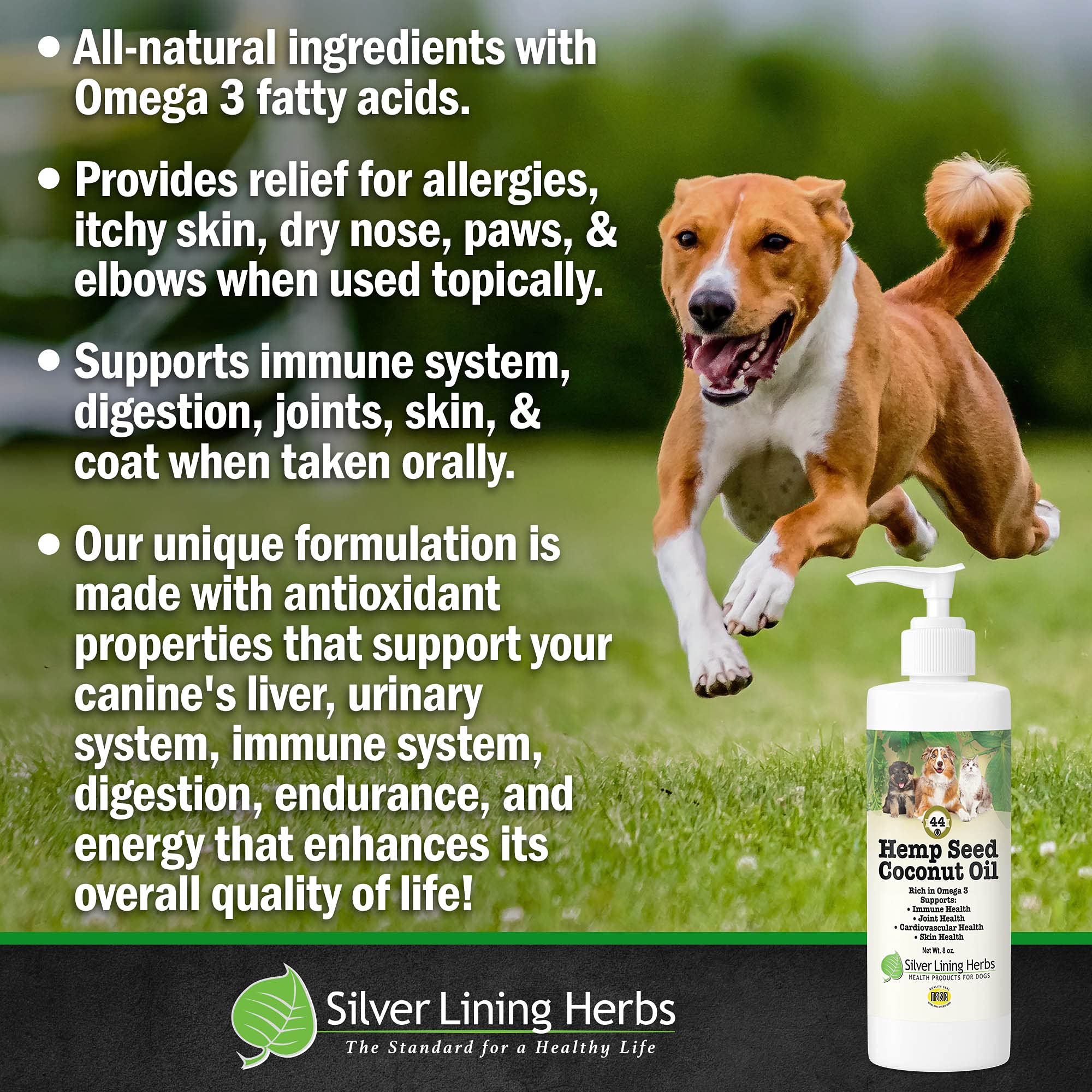 Silver Lining Herbs Coconut Oil for Dogs with Hemp Seed Oil | 8oz Bottle | Anti Itch & Hot Spot Treatment For Dogs Skin & Coat | Allergy Aid | Supports Immune System, Joints, & Digestion | Made in USA