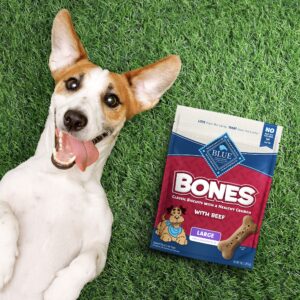 Blue Buffalo Bones Natural Crunchy Dog Treats Large Dog Biscuits Beef, 16oz. Bag, 4 Count