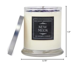 New Moon Candle by New Moon Beginnings - New Beginnings & Manifestation Candle - Dried Flower, Herb, & Crystal Candles - Aromatherapy Candles - Soy Candle - 12oz Glass Jar