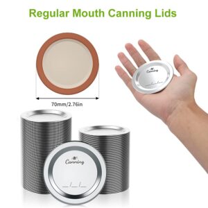 200pcs Regular Mouth Canning Lids, 70mm Mason Jar Lids for Canning, Reusable Leak Proof Split-type Gold Lids, Food Grade Material (70mm, Silver)