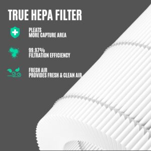 Nispira True HEPA Carbon Filter Replacement Compatible with Azeus C8 Air Purifier High CADR, Hisens Air Purifier KJ120, Mooka Air Purifier C10, 1 Pack