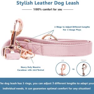 Soft Leather Dog Collar and Leash (6.6') Set - Stylish Rose Gold Heavy Duty Metal Buckle, 4 Adjustable Lengths Leash for Small Medium Large Dogs - Comfortable & Easy to Clean Pink M(13.8"-19.7")