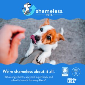 Shameless Pets Dental Treats for Dogs, A Cluck A Day - Healthy Dental Sticks with Digestive Support for Teeth Cleaning & Fresh Breath - Dog Bones Dental Chews Free from Grain, Corn & Soy