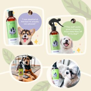 kin+kind | Plant-Based Flea and Tick Spray for Dogs (12 fl oz) | Lavender