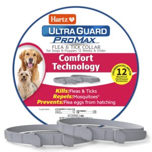 hartz ultraguard promax flea & tick collar for dogs i 12 months protection i soft & comfortable flea & tick prevention i 2 pack,gray