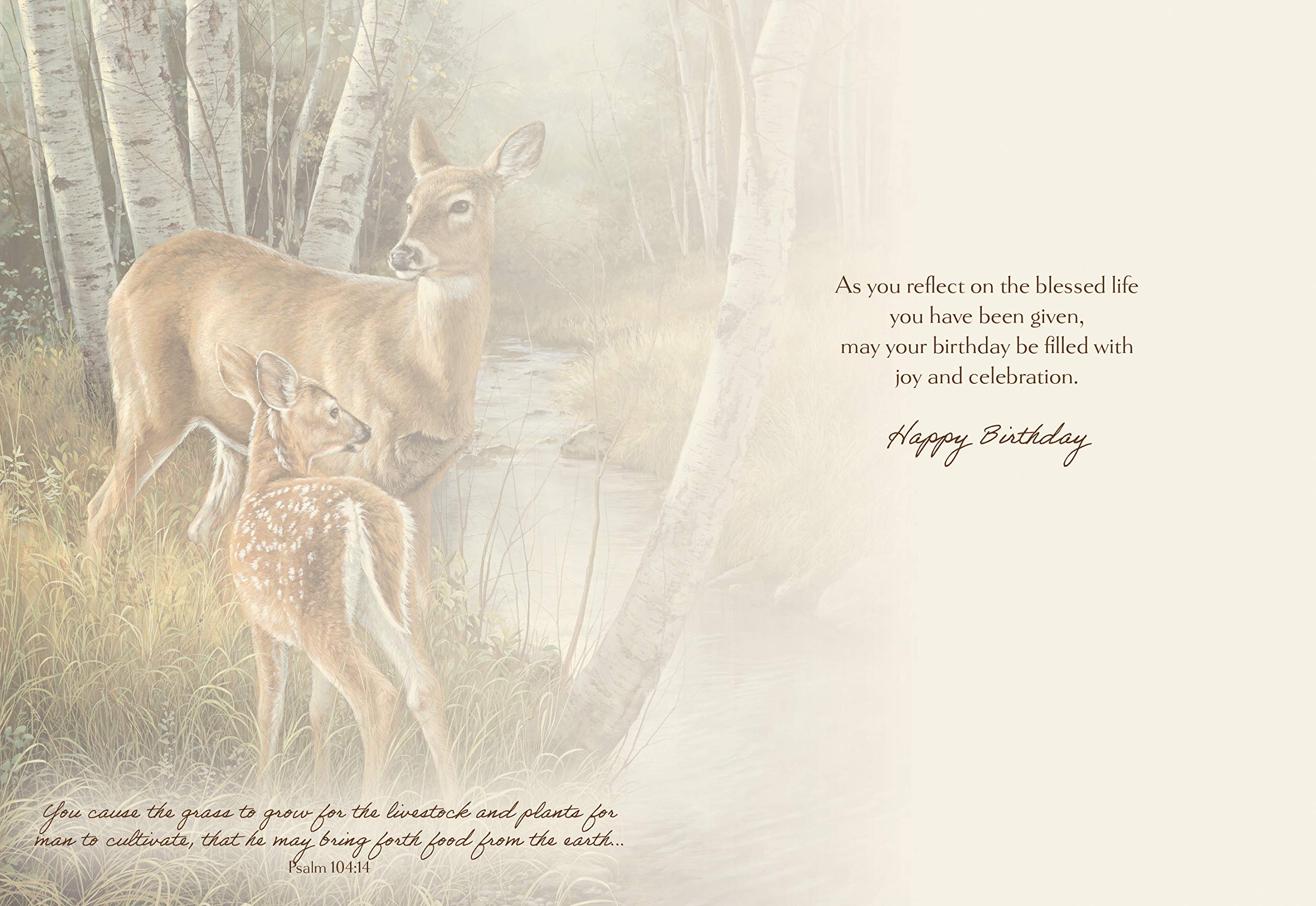 HTL Card-Boxed-Birthday-Whitetail Deer (Box of 12)