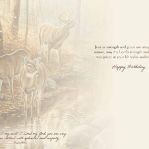 HTL Card-Boxed-Birthday-Whitetail Deer (Box of 12)