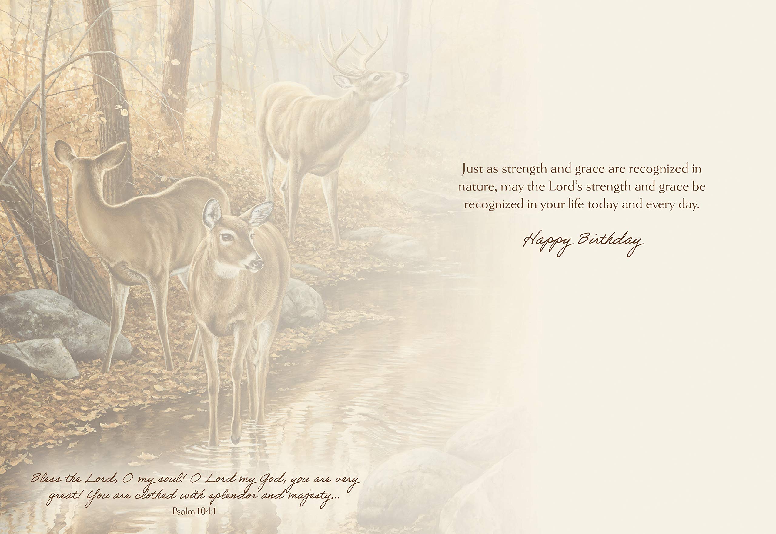 HTL Card-Boxed-Birthday-Whitetail Deer (Box of 12)