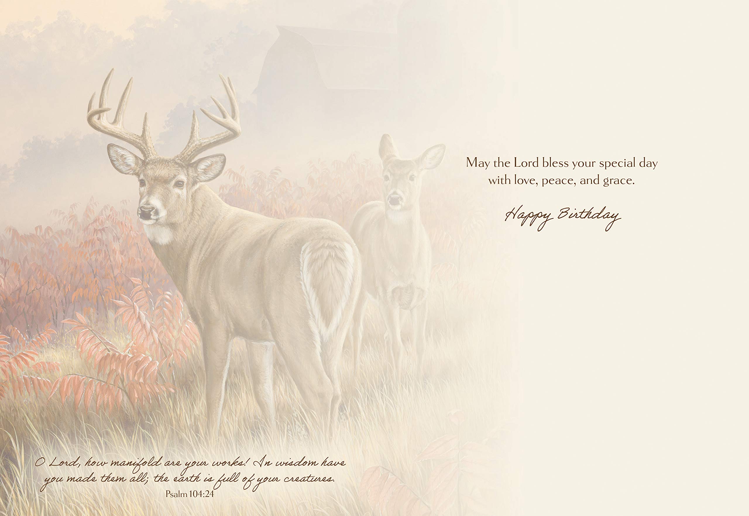 HTL Card-Boxed-Birthday-Whitetail Deer (Box of 12)