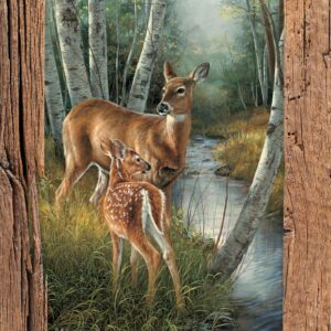 HTL Card-Boxed-Birthday-Whitetail Deer (Box of 12)