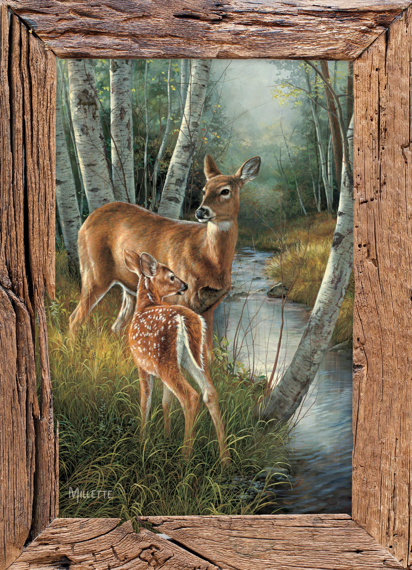 HTL Card-Boxed-Birthday-Whitetail Deer (Box of 12)