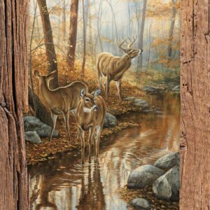 HTL Card-Boxed-Birthday-Whitetail Deer (Box of 12)