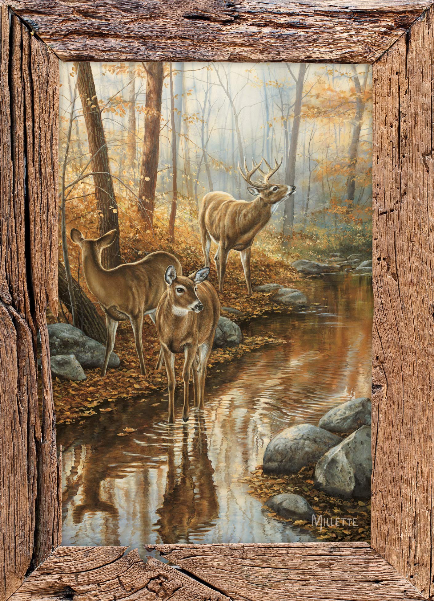 HTL Card-Boxed-Birthday-Whitetail Deer (Box of 12)