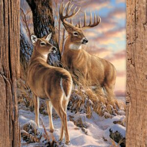 HTL Card-Boxed-Birthday-Whitetail Deer (Box of 12)