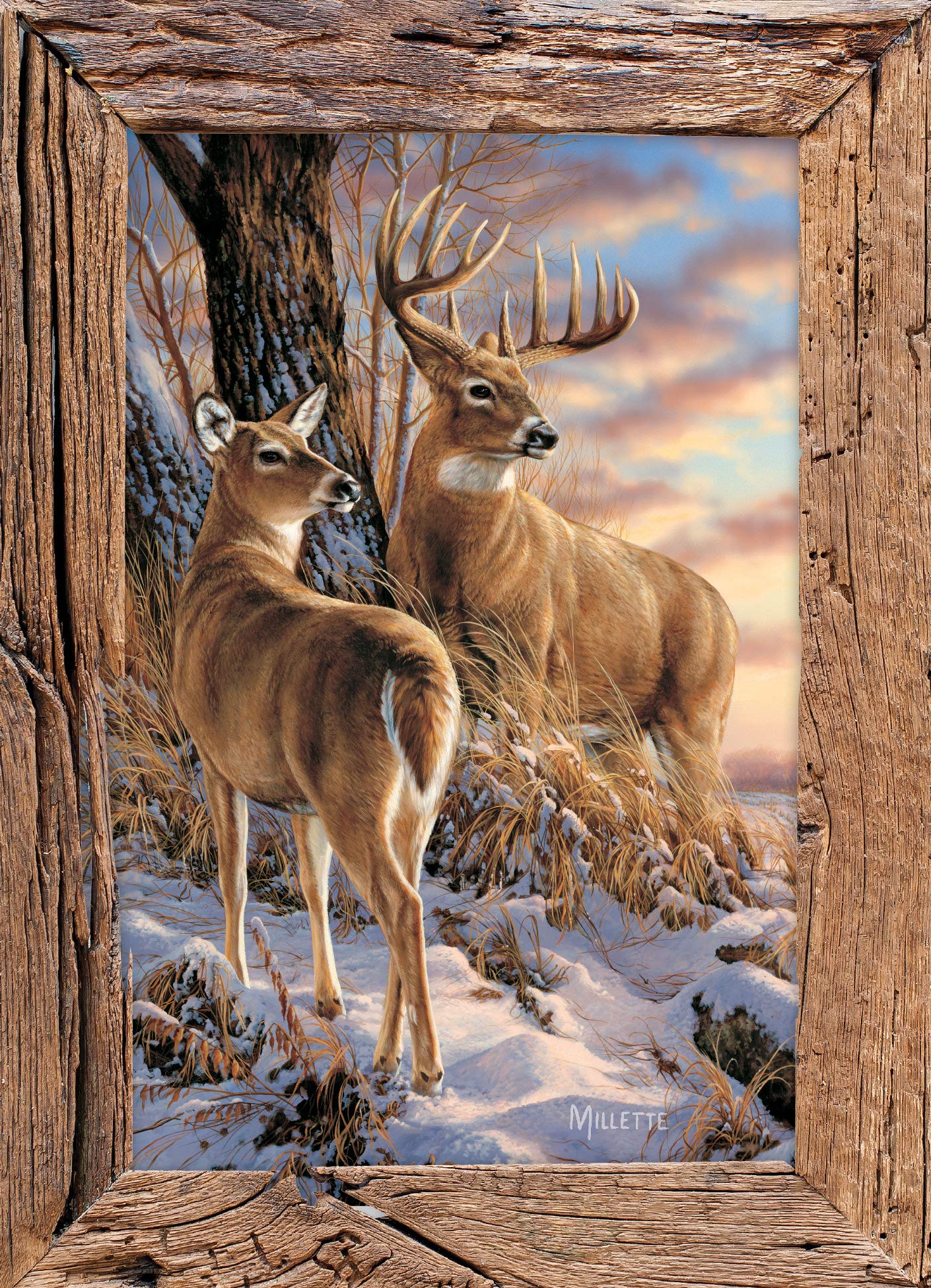 HTL Card-Boxed-Birthday-Whitetail Deer (Box of 12)