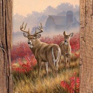 HTL Card-Boxed-Birthday-Whitetail Deer (Box of 12)