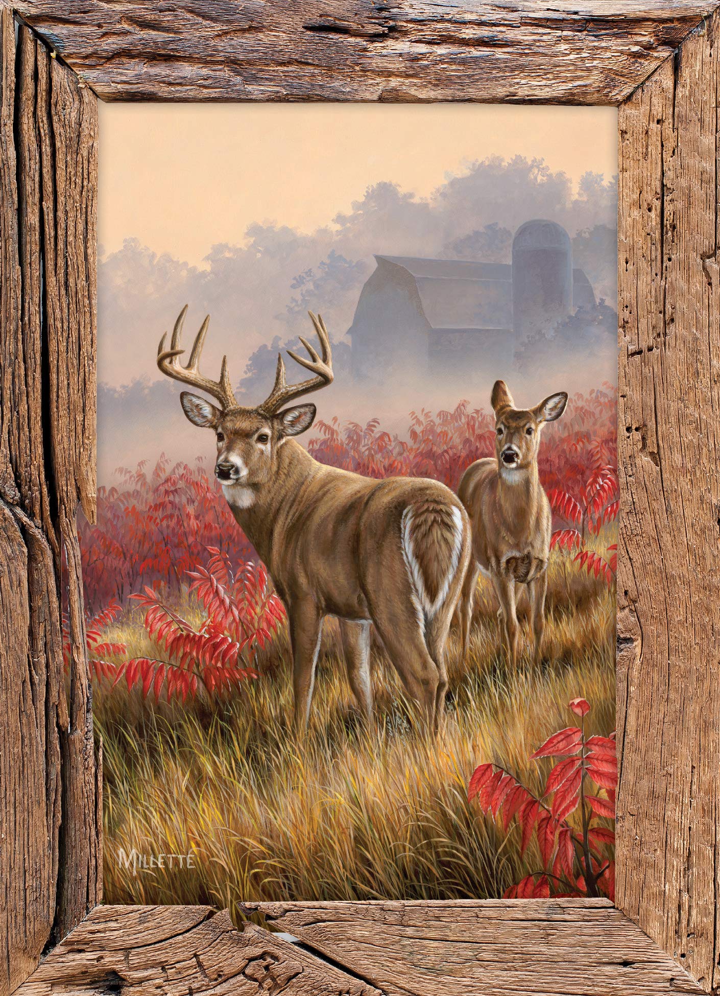 HTL Card-Boxed-Birthday-Whitetail Deer (Box of 12)