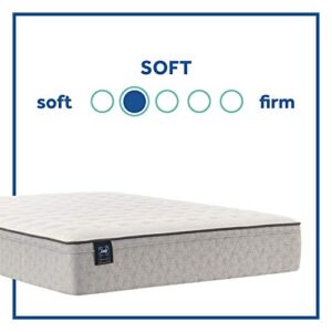 Sealy Essentials Spring Winter Green Faux Eurotop Soft Feel Mattress, Full