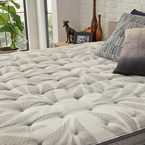 Sealy Posturepedic Spring Red Maple Euro Pillowtop Soft Feel Mattress and 5-Inch Foundation, King