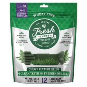 Dr. Dental Large Fresh Chews Dental Dog Treats Clear, Large-18 OZ