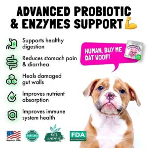 LEGITPET Hemp Hip & Joint Supplement for Dogs and Probiotics for Dogs with Natural Digestive Enzymes 120 + 120 Soft Chews Bundle - Natural Pain Relief and Mobility - Anti Diarrhea - Made in USA