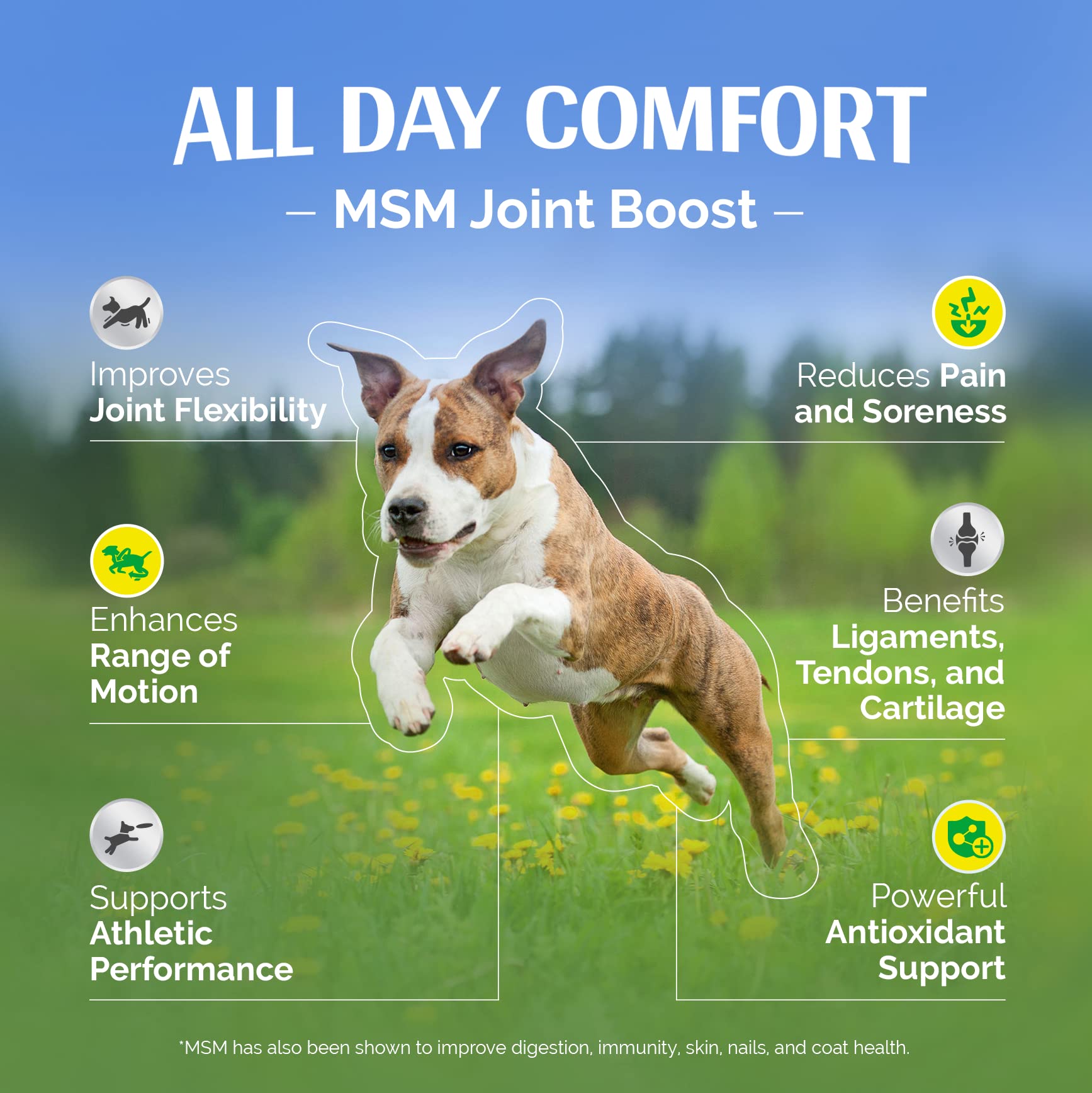 TopDog Health - MSM Joint Boost Powder - Hip & Joint Dog Supplement for Joint Mobility & Flexibility - Natural Anti-Inflammatory with Sulfur - Unflavored