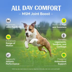 TopDog Health - MSM Joint Boost Powder - Hip & Joint Dog Supplement for Joint Mobility & Flexibility - Natural Anti-Inflammatory with Sulfur - Chicken Flavored