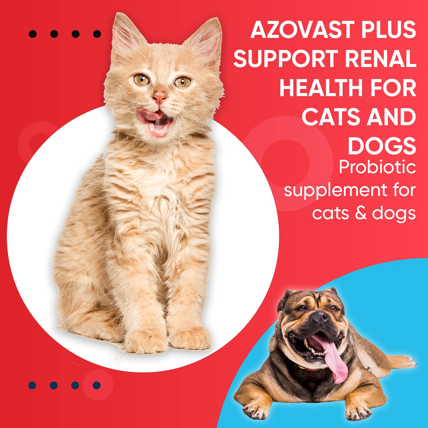 Azovast Plus Kidney Health Supplement for Dogs & Cats, Oral Powder (6 Oz) - (120 Doses/Jar) NO Refrigeration Required - Help Support Kidney Function & Manage Renal Toxins (Made in U.S.A) (6 Oz)