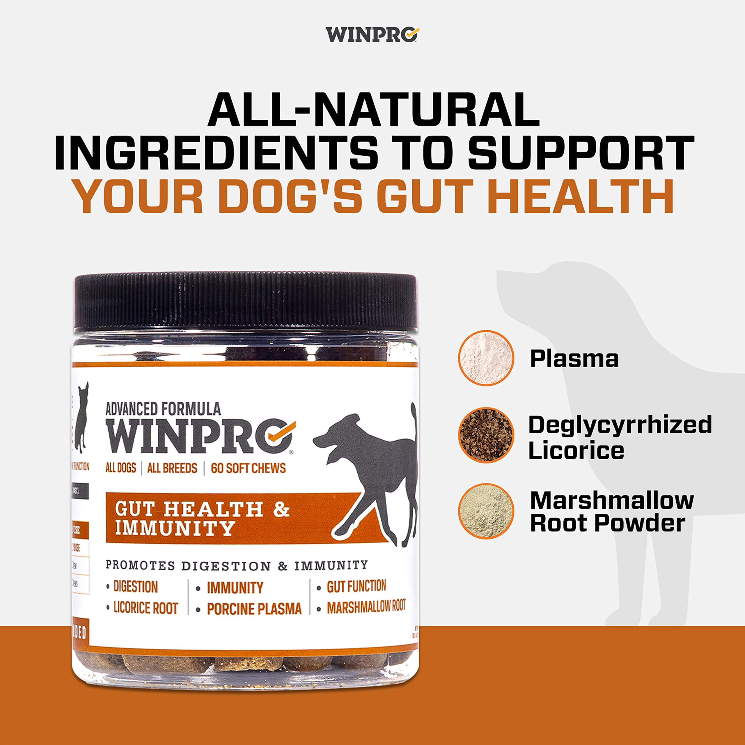 WINPRO | Dog Gut Health Supplement, Plasma-Powered Chews for Digestive Health, Fast Acting Immune Support in Dogs of All Breeds and Sizes, 60 Count, Made in USA