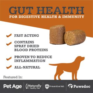 WINPRO | Dog Gut Health Supplement, Plasma-Powered Chews for Digestive Health, Fast Acting Immune Support in Dogs of All Breeds and Sizes, 60 Count, Made in USA