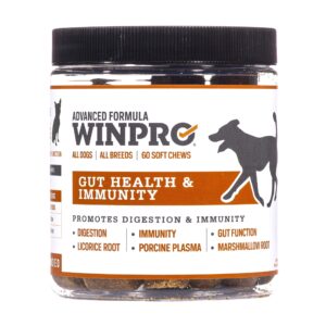 winpro | dog gut health supplement, plasma-powered chews for digestive health, fast acting immune support in dogs of all breeds and sizes, 60 count, made in usa