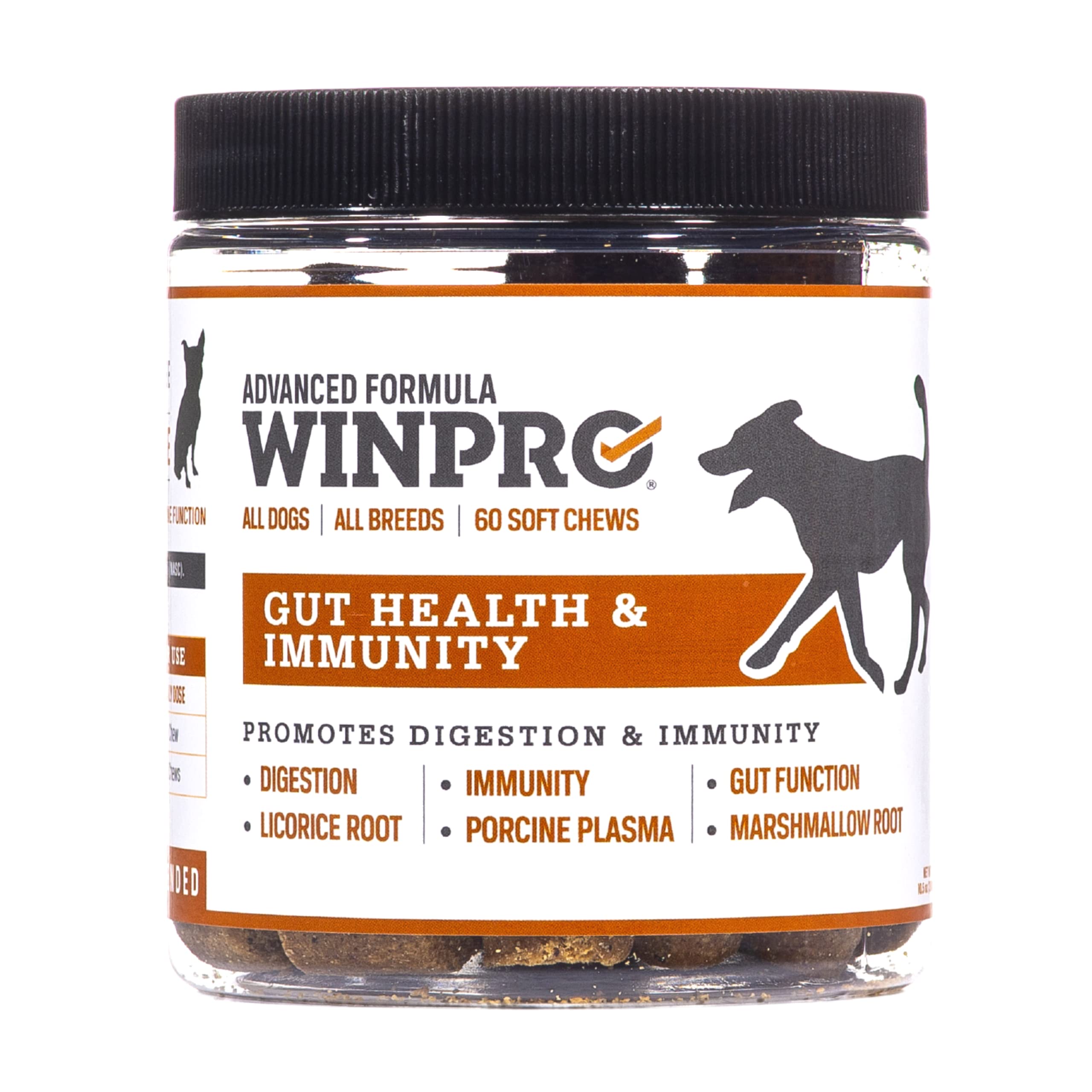 WINPRO | Dog Gut Health Supplement, Plasma-Powered Chews for Digestive Health, Fast Acting Immune Support in Dogs of All Breeds and Sizes, 60 Count, Made in USA