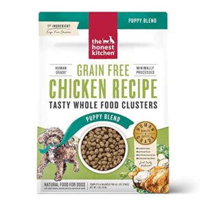 the honest kitchen whole food clusters puppy grain free chicken dry dog food, 1 lb bag