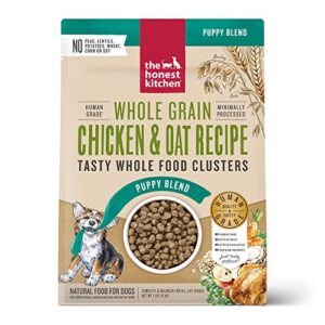 the honest kitchen whole food clusters puppy whole grain chicken dry dog food, 1 lb bag