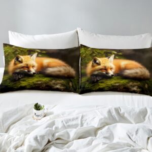 Feelyou Kids Duvet Cover Fox Print Bedding Set 3D Animal Theme Comforter Cover for Boys Girls Children Teens Bedroom Decor Nature Woodland Fox Bedspread Cover Twin Size with 1 Pillow Case