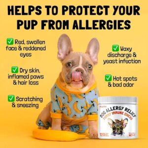 LEGITPET Allergy Relief Chews for Dogs & Immune Support with Kelp, Colostrum & Bee Pollen 120 Soft Chews and Hemp Hip & Joint Supplement for Dogs 120 Soft Chews Bundle - Made in USA