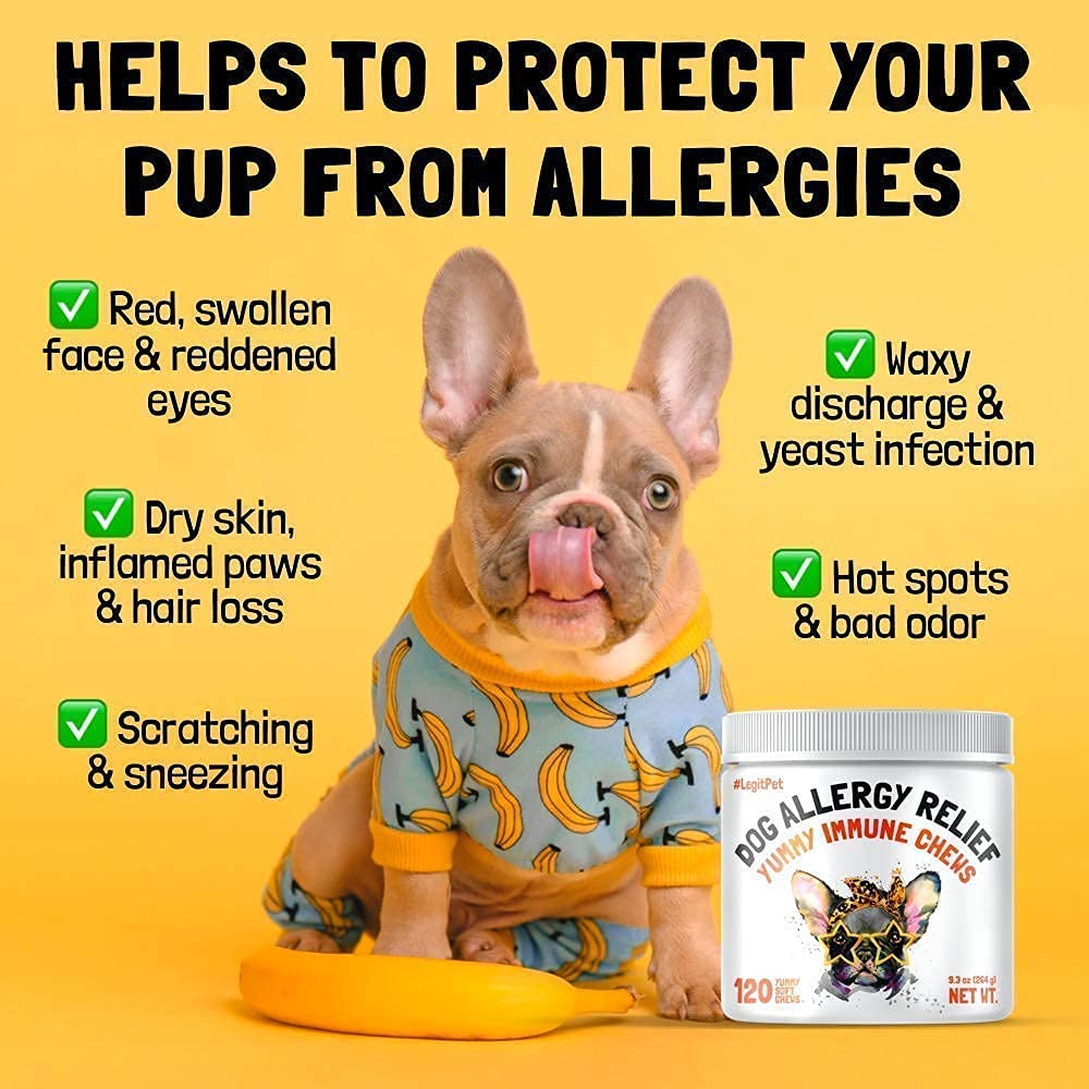 LEGITPET Allergy Relief Chews for Dogs & Immune Support with Kelp, Colostrum & Bee Pollen 120 Soft Chews and Hemp Hip & Joint Supplement for Dogs 120 Soft Chews Bundle - Made in USA