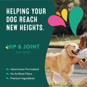 Happy Go Healthy Hip & Joint Supplements for Dogs | Helps Joint Health & Mobility Support for Recovering and Senior Dogs | Natural Ingredients, Tasty Kibble Dog Food Topper | 60-Count Pack