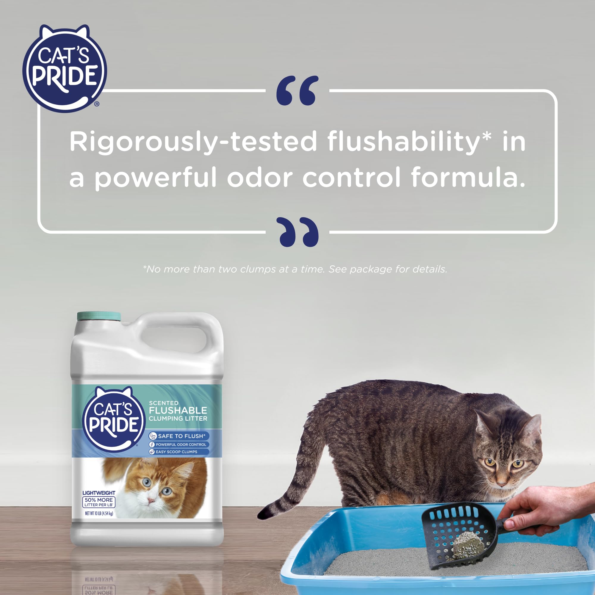 Cat's Pride Lightweight Clumping Litter: Flushable - Powerful Odor Control - Scented, 10 Pounds