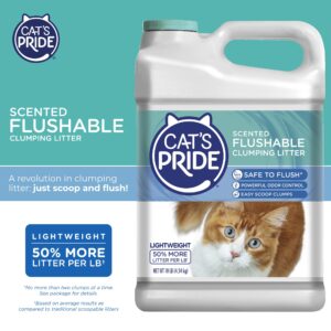 Cat's Pride Lightweight Clumping Litter: Flushable - Powerful Odor Control - Scented, 10 Pounds