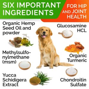 Salmon Oil Omega 3 for Dogs + All-Natural Hemp Chews and Glucosamine for Dogs - Advanced Hip & Joint Supplement + 32oz Fish Oil - Allergy Relief - Itch Relief, Shedding - Skin and Coat Supplement