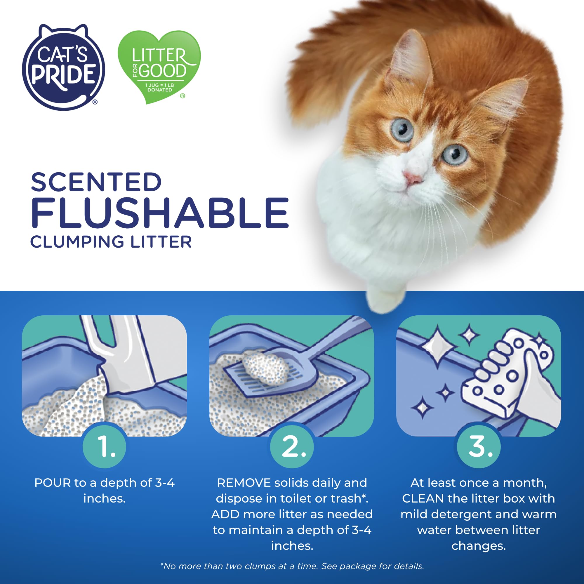 Cat's Pride Lightweight Clumping Litter: Flushable - Powerful Odor Control - Scented, 10 Pounds