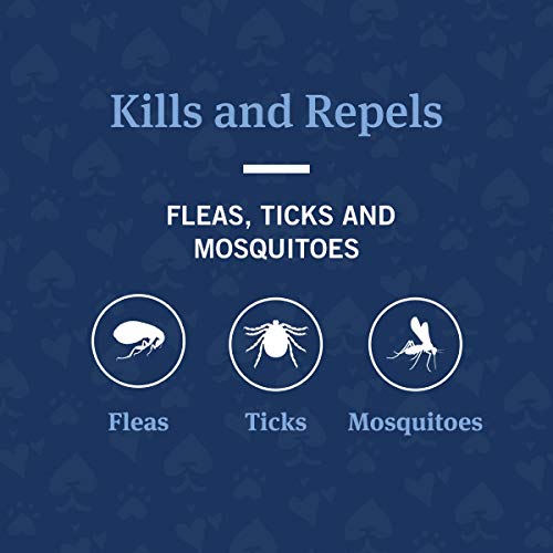 PetArmor Max Flea, Tick and Mosquito Prevention for Large Dogs (21 to 55 Pounds), Topical Dog Flea Treatment Repels and Kills, 6 Month Supply